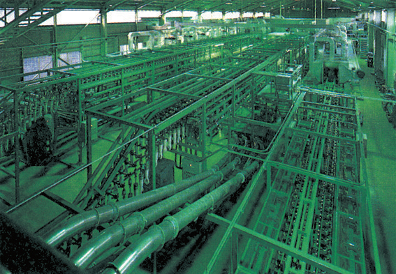 production line PVC – Luvas SHOWA