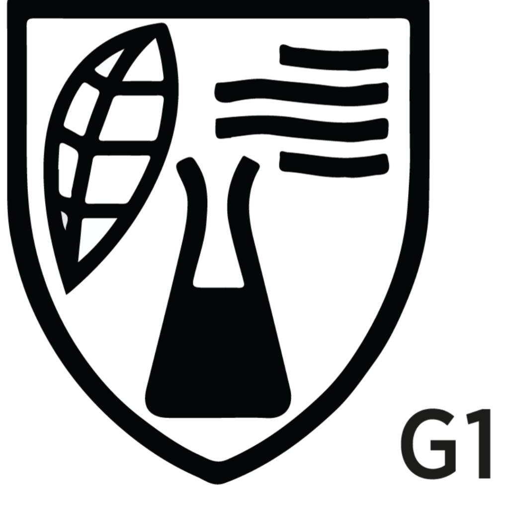 SHOWA Gloves 7502PF · Single Use Gloves, Biodegradable (EBT) Gloves